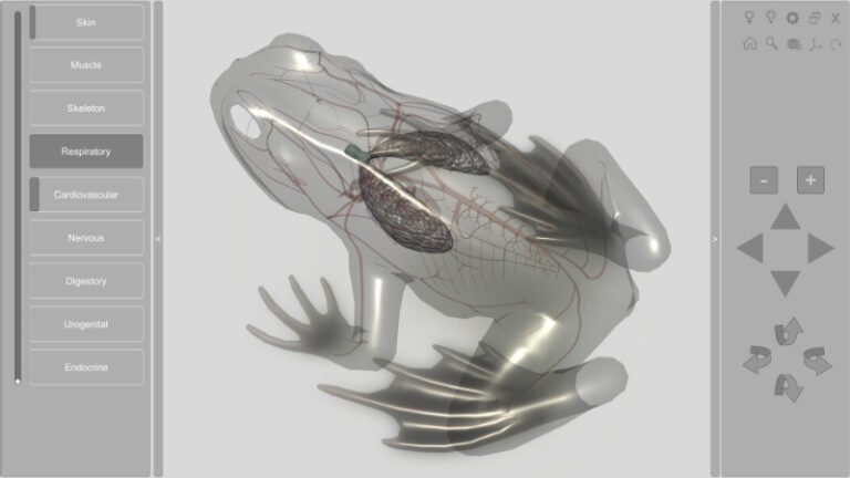 3D Frog Anatomy - Biosphera