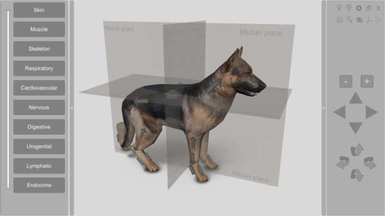 3D Dog Anatomy - Biosphera