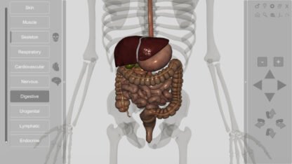 3D Human Anatomy Introduction - Biosphera