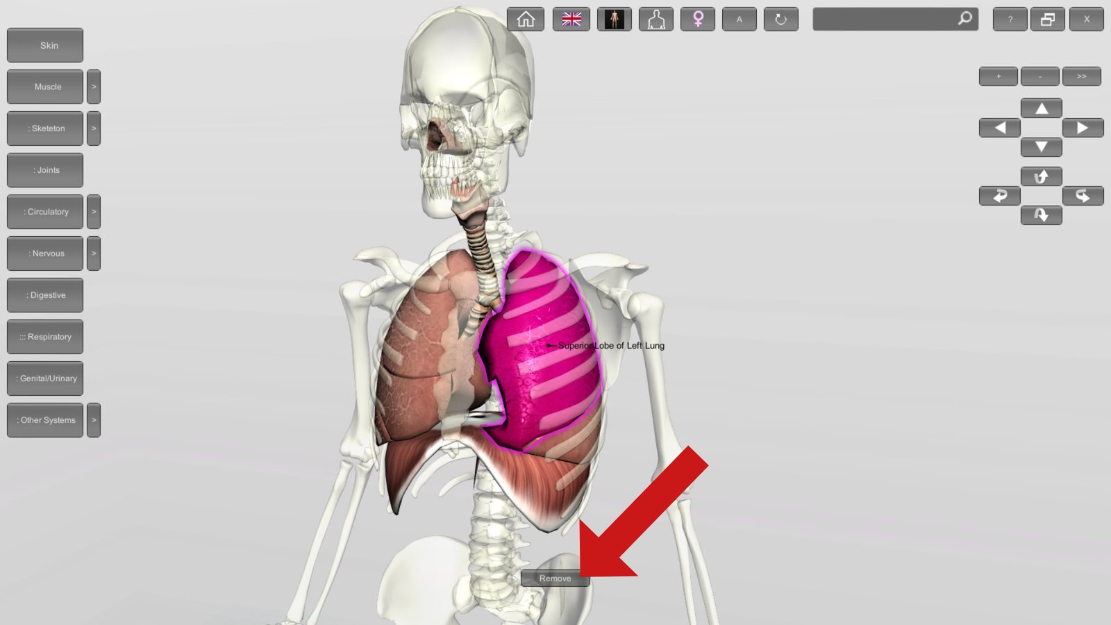 Tutorial: How to use Biosphera’s 3D Human Anatomy software (desktop ...