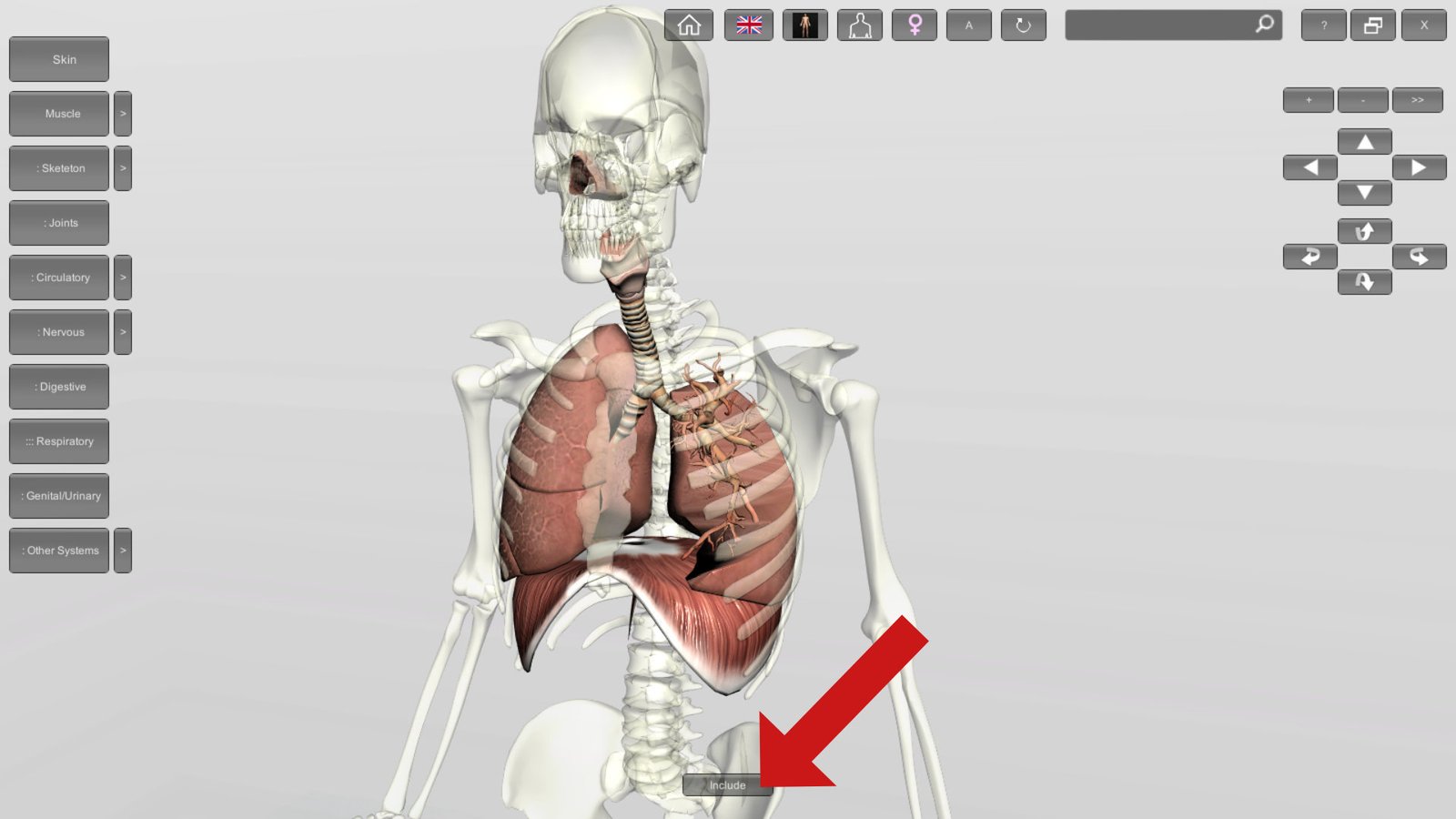 Tutorial: How to use Biosphera’s 3D Human Anatomy software (desktop ...