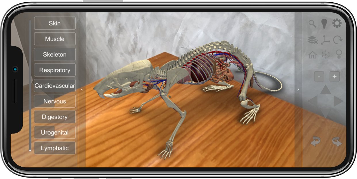 Tutorial: How to use Biosphera’s Veterinary Anatomy apps (new interface ...