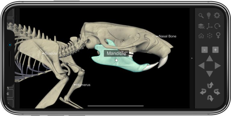 Tutorial: How to use Biosphera’s Veterinary Anatomy apps (new interface ...