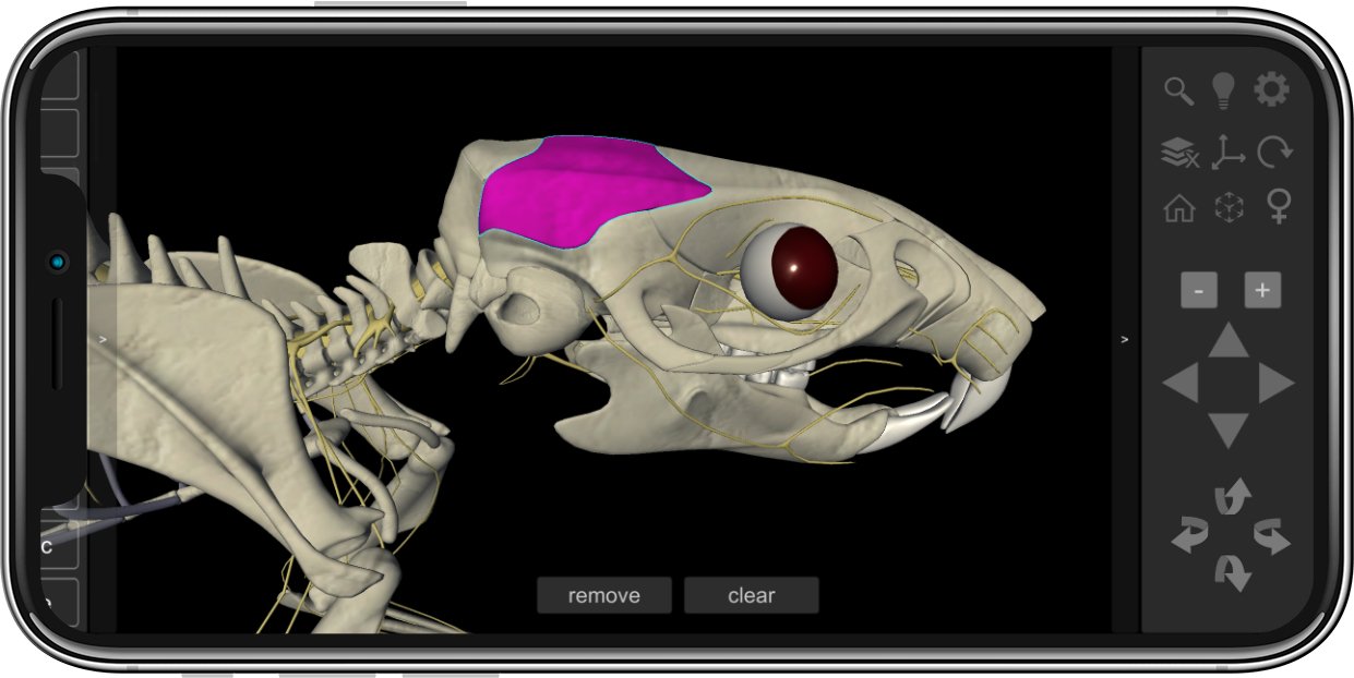 Tutorial: How to use Biosphera’s Veterinary Anatomy apps (new interface ...