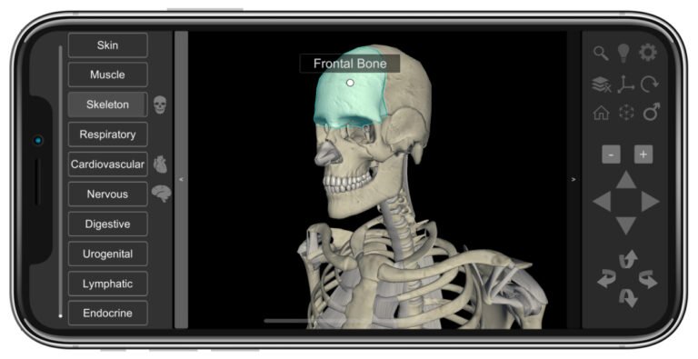 Tutorial: How to use Biosphera’s 3D Human Anatomy App (new interface ...