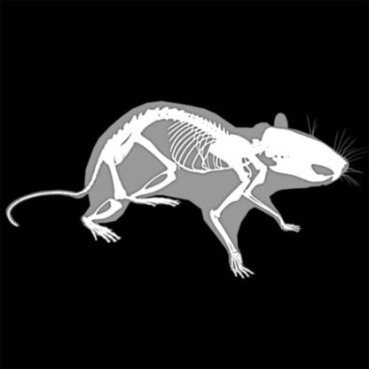 Interactive anatomy models - Biosphera